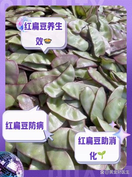 红扁豆怎么煮容易烂_红扁豆需要提前泡多久-第3张图片-山城妙识 红扁豆怎么煮容易烂_红扁豆需要提前泡多久-第3张图片-山城妙识