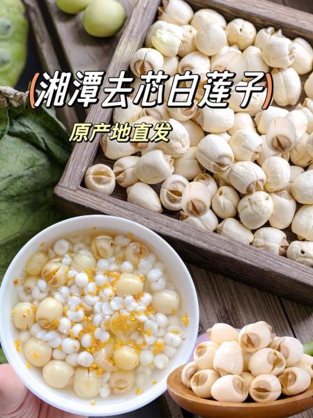 湘莲产地哪里最正宗_湘莲和莲子有什么区别-第3张图片-山城妙识 湘莲产地哪里最正宗_湘莲和莲子有什么区别-第3张图片-山城妙识