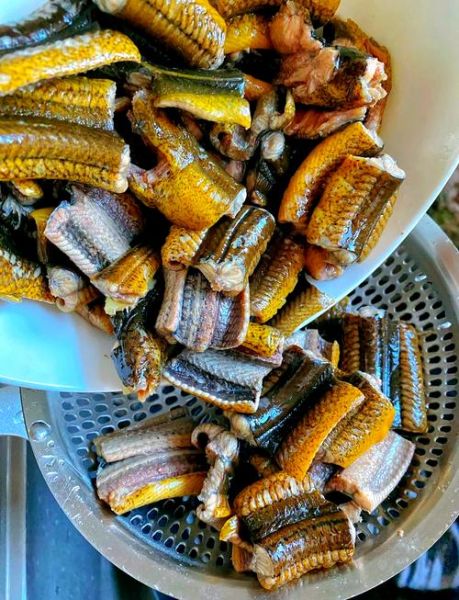 四川红烧鳝鱼怎么做_鳝鱼去腥技巧-第1张图片-山城妙识 四川红烧鳝鱼怎么做_鳝鱼去腥技巧-第1张图片-山城妙识