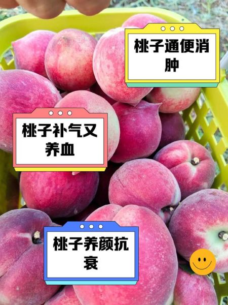 桃子有哪些功效与作用_桃子禁忌人群有哪些-第3张图片-山城妙识 桃子有哪些功效与作用_桃子禁忌人群有哪些-第3张图片-山城妙识