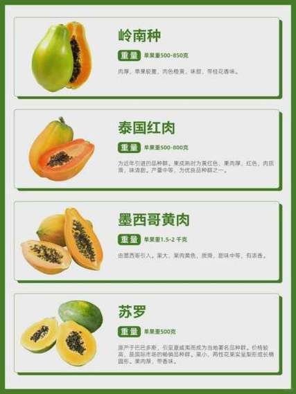 木瓜怎么吃_木瓜的正确吃法大全-第3张图片-山城妙识 木瓜怎么吃_木瓜的正确吃法大全-第3张图片-山城妙识