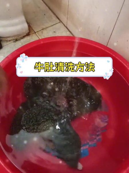 生牛肚怎么清洗_生牛肚焯水多久才脆-第1张图片-山城妙识
