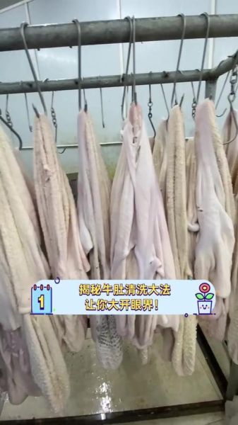 生牛肚怎么清洗_生牛肚焯水多久才脆-第2张图片-山城妙识