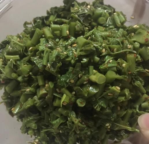 凉拌香椿怎么做_香椿凉拌要不要焯水-第1张图片-山城妙识 凉拌香椿怎么做_香椿凉拌要不要焯水-第1张图片-山城妙识