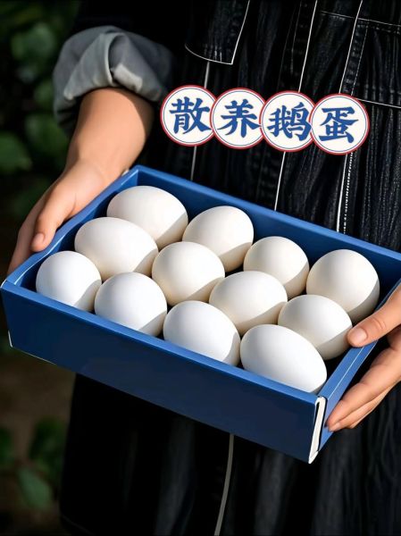 吃鹅蛋治颈椎病偏方_鹅蛋怎么吃对颈椎好-第3张图片-山城妙识