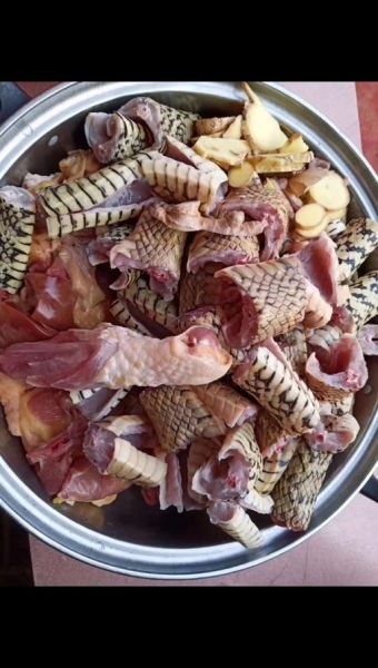 蛇肉煲汤怎么做_蛇肉煲汤的做法大全-第3张图片-山城妙识 蛇肉煲汤怎么做_蛇肉煲汤的做法大全-第3张图片-山城妙识