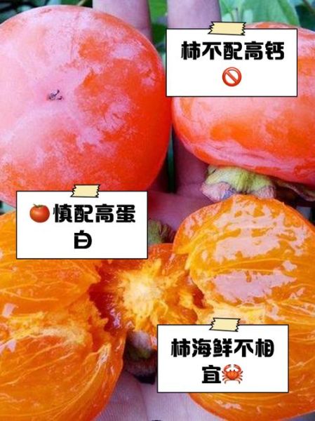 大柿子不能和什么同吃_大柿子与哪些食物相克-第2张图片-山城妙识 大柿子不能和什么同吃_大柿子与哪些食物相克-第2张图片-山城妙识
