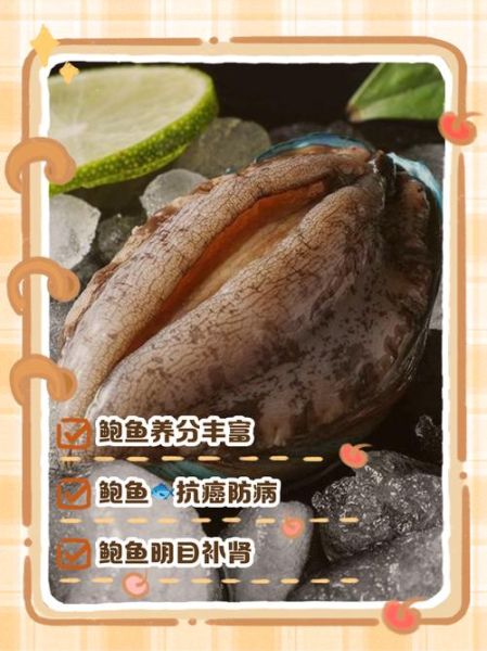 小孩吃鲍鱼有什么好处_鲍鱼对小孩功效与作用-第3张图片-山城妙识 小孩吃鲍鱼有什么好处_鲍鱼对小孩功效与作用-第3张图片-山城妙识