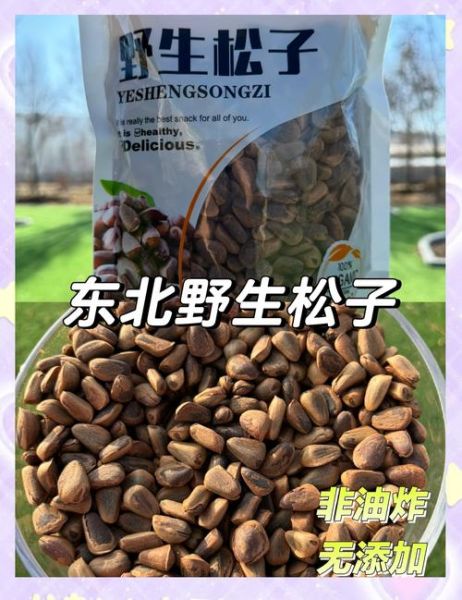 松子多少钱一斤_松子怎么挑选-第1张图片-山城妙识 松子多少钱一斤_松子怎么挑选-第1张图片-山城妙识