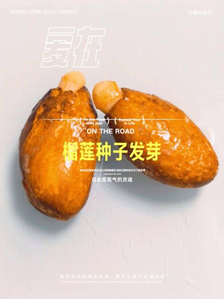 榴莲核能种出榴莲吗_榴莲核能发芽吗-第2张图片-山城妙识 榴莲核能种出榴莲吗_榴莲核能发芽吗-第2张图片-山城妙识