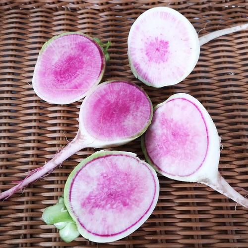 心里美萝卜学名是什么_心里美萝卜营养价值-第3张图片-山城妙识 心里美萝卜学名是什么_心里美萝卜营养价值-第3张图片-山城妙识