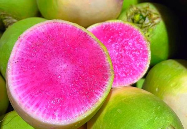 心里美萝卜学名是什么_心里美萝卜营养价值-第2张图片-山城妙识 心里美萝卜学名是什么_心里美萝卜营养价值-第2张图片-山城妙识