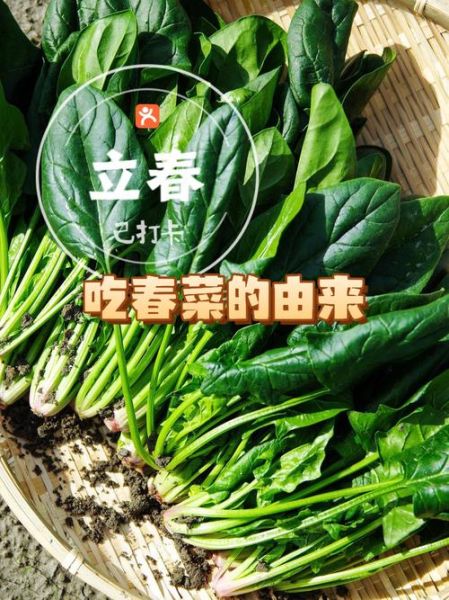 立春吃什么蔬菜好_立春养生蔬菜推荐-第1张图片-山城妙识 立春吃什么蔬菜好_立春养生蔬菜推荐-第1张图片-山城妙识