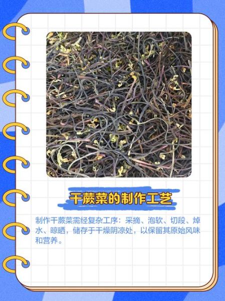 蕨菜干多少钱一斤_蕨菜干价格受哪些因素影响-第3张图片-山城妙识