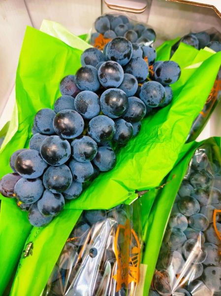 夏黑葡萄图片_夏黑葡萄怎么挑-第1张图片-山城妙识 夏黑葡萄图片_夏黑葡萄怎么挑-第1张图片-山城妙识