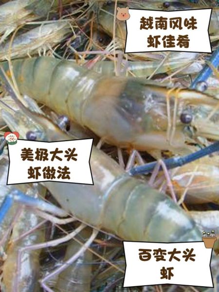 大头虾怎么处理干净_去虾线技巧-第1张图片-山城妙识