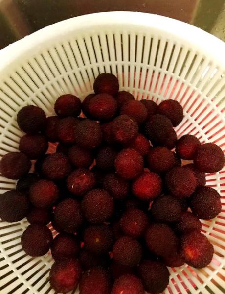 晒杨梅干的做法窍门_杨梅干怎么晒不烂-第1张图片-山城妙识 晒杨梅干的做法窍门_杨梅干怎么晒不烂-第1张图片-山城妙识