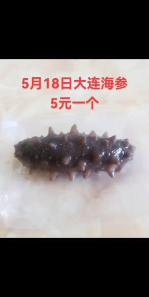 大连深福堂海参价格_多少钱一斤-第2张图片-山城妙识