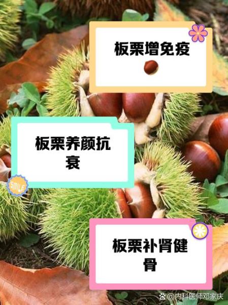 吃板栗有什么好处_吃板栗能减肥吗-第1张图片-山城妙识 吃板栗有什么好处_吃板栗能减肥吗-第1张图片-山城妙识