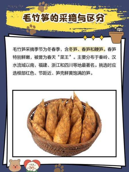 毛竹笋的功效与作用_毛竹笋怎么吃最营养-第3张图片-山城妙识