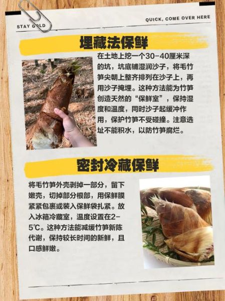 毛竹笋的功效与作用_毛竹笋怎么吃最营养-第2张图片-山城妙识