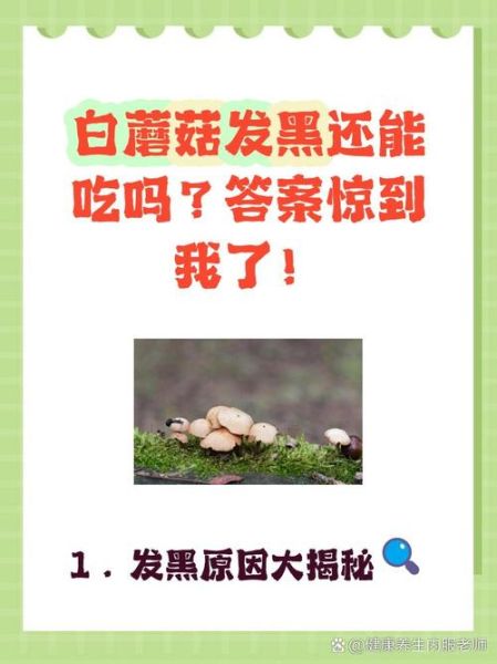 白蘑菇里面发黑能吃吗_蘑菇变黑原因-第1张图片-山城妙识