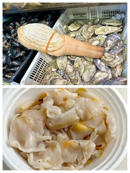 干象拔蚌怎么做_干象拔蚌需要焯水吗-第3张图片-山城妙识 干象拔蚌怎么做_干象拔蚌需要焯水吗-第3张图片-山城妙识