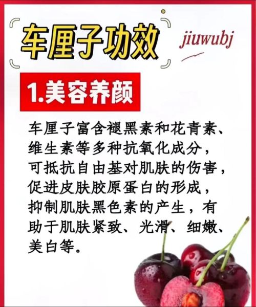 车厘子吃多了会上火吗_车厘子功效与作用-第1张图片-山城妙识 车厘子吃多了会上火吗_车厘子功效与作用-第1张图片-山城妙识