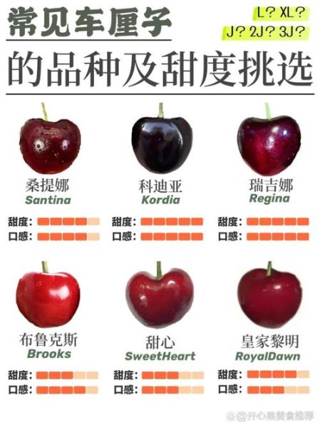 车厘子吃多了会上火吗_车厘子功效与作用-第3张图片-山城妙识 车厘子吃多了会上火吗_车厘子功效与作用-第3张图片-山城妙识