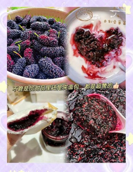 桑葚酱怎么吃最好_桑葚酱的吃法大全-第2张图片-山城妙识