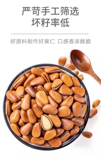 松子怎么吃_松子一天吃多少粒合适-第3张图片-山城妙识 松子怎么吃_松子一天吃多少粒合适-第3张图片-山城妙识