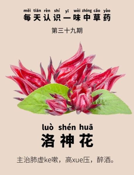 洛神花有什么功效_洛神花的作用与禁忌-第1张图片-山城妙识