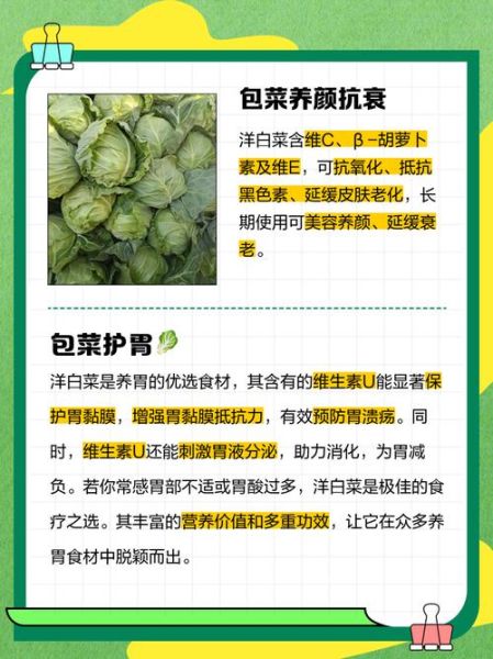 炒洋白菜热量是多少_减肥能吃吗-第3张图片-山城妙识