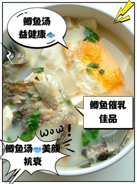 什么人不能喝鲫鱼汤_鲫鱼汤禁忌人群-第3张图片-山城妙识 什么人不能喝鲫鱼汤_鲫鱼汤禁忌人群-第3张图片-山城妙识