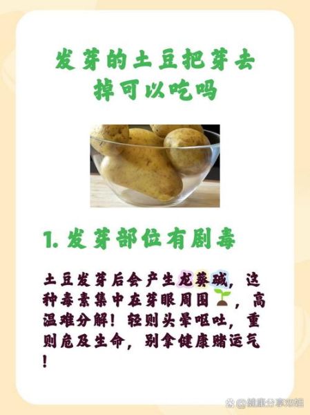 土豆发芽了怎么处理才能吃_发芽土豆去芽后还能吃吗-第3张图片-山城妙识 土豆发芽了怎么处理才能吃_发芽土豆去芽后还能吃吗-第3张图片-山城妙识