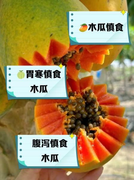 木瓜的功效与作用_木瓜的食用禁忌有哪些-第2张图片-山城妙识