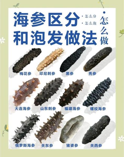 干海参怎么泡发_干海参的正确方法-第3张图片-山城妙识 干海参怎么泡发_干海参的正确方法-第3张图片-山城妙识