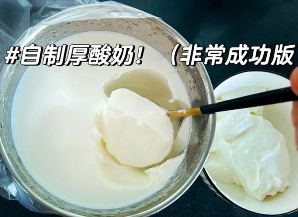 酸奶机做酸奶不凝固_酸奶机做酸奶失败原因-第2张图片-山城妙识 酸奶机做酸奶不凝固_酸奶机做酸奶失败原因-第2张图片-山城妙识