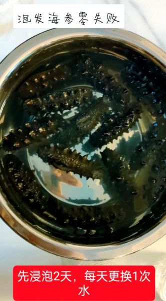 新鲜海参怎么泡发_新鲜海参怎么吃最好-第3张图片-山城妙识 新鲜海参怎么泡发_新鲜海参怎么吃最好-第3张图片-山城妙识