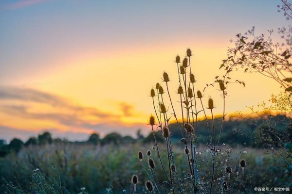 唯美图片哪里找_精美图片大全推荐-第2张图片-山城妙识 唯美图片哪里找_精美图片大全推荐-第2张图片-山城妙识