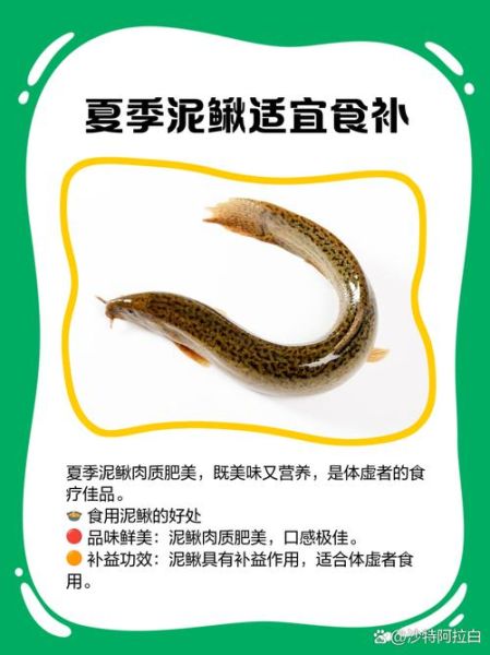 泥鳅四种人不宜吃_哪些人不能吃泥鳅-第3张图片-山城妙识 泥鳅四种人不宜吃_哪些人不能吃泥鳅-第3张图片-山城妙识