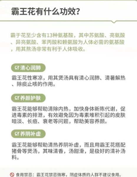 霸王花煲猪骨汤的功效_孕妇能喝吗-第1张图片-山城妙识 霸王花煲猪骨汤的功效_孕妇能喝吗-第1张图片-山城妙识