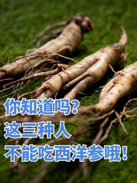 男人吃西洋参壮阳吗_西洋参能提高性功能吗-第2张图片-山城妙识