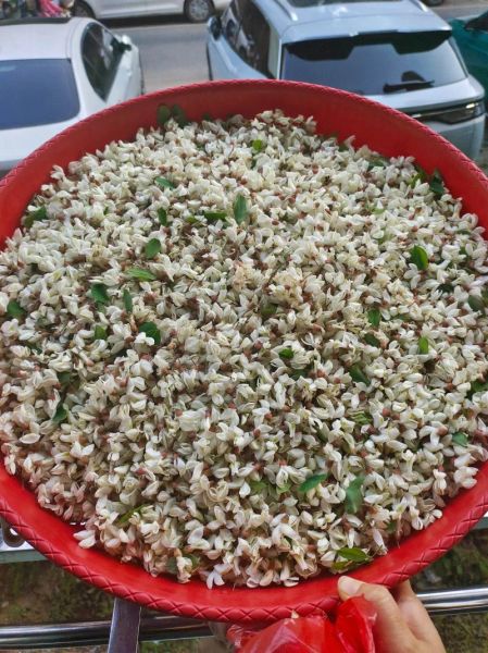 煎槐花怎么做_槐花煎蛋的做法步骤-第1张图片-山城妙识