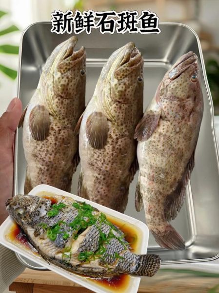 石斑鱼怎么做好吃_石斑鱼有哪些经典做法-第1张图片-山城妙识