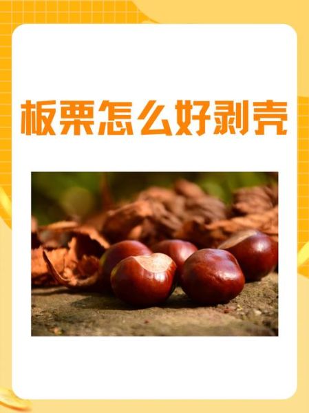 栗怎么读拼音_栗子读音与方言差异-第3张图片-山城妙识