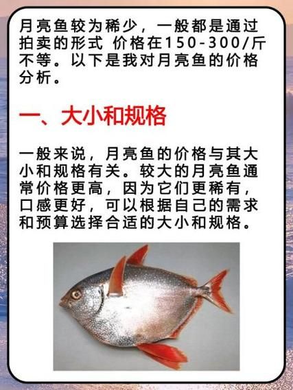 小嘴鱼多少钱一斤_小嘴鱼价格行情-第3张图片-山城妙识 小嘴鱼多少钱一斤_小嘴鱼价格行情-第3张图片-山城妙识