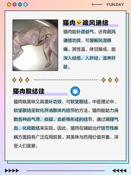 煮猫肉放什么配料好吃_猫肉去腥增香技巧-第2张图片-山城妙识 煮猫肉放什么配料好吃_猫肉去腥增香技巧-第2张图片-山城妙识