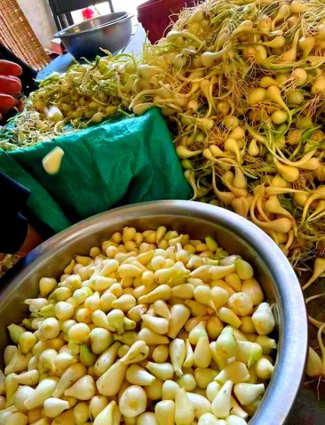 荞头怎么腌制_荞头腌制方法大全-第1张图片-山城妙识 荞头怎么腌制_荞头腌制方法大全-第1张图片-山城妙识