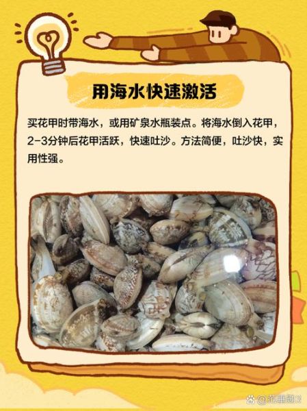 花甲不张口怎么办_盐水泡多久才有效-第3张图片-山城妙识 花甲不张口怎么办_盐水泡多久才有效-第3张图片-山城妙识